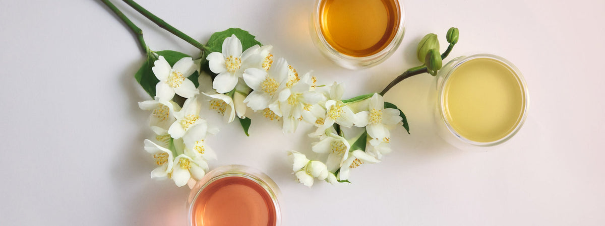 jasmine tea 101 – DAVIDsTEA