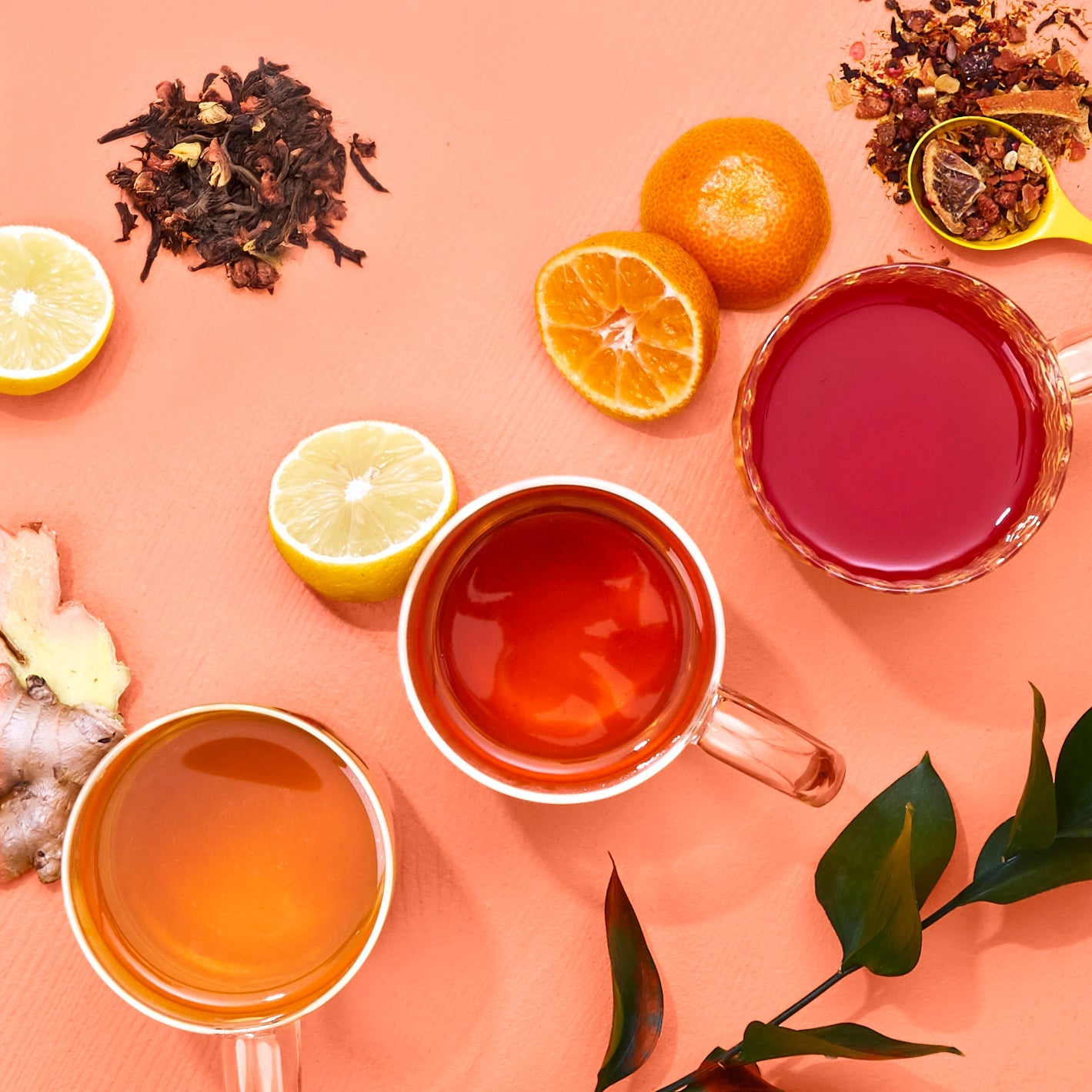 Organic Teas | DAVIDsTEA CA