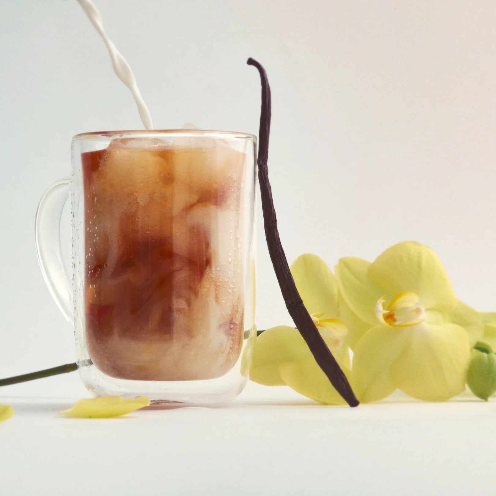 Vanilla Tea | Tea Bags & Loose Leaf Tea | DAVIDsTEA CA