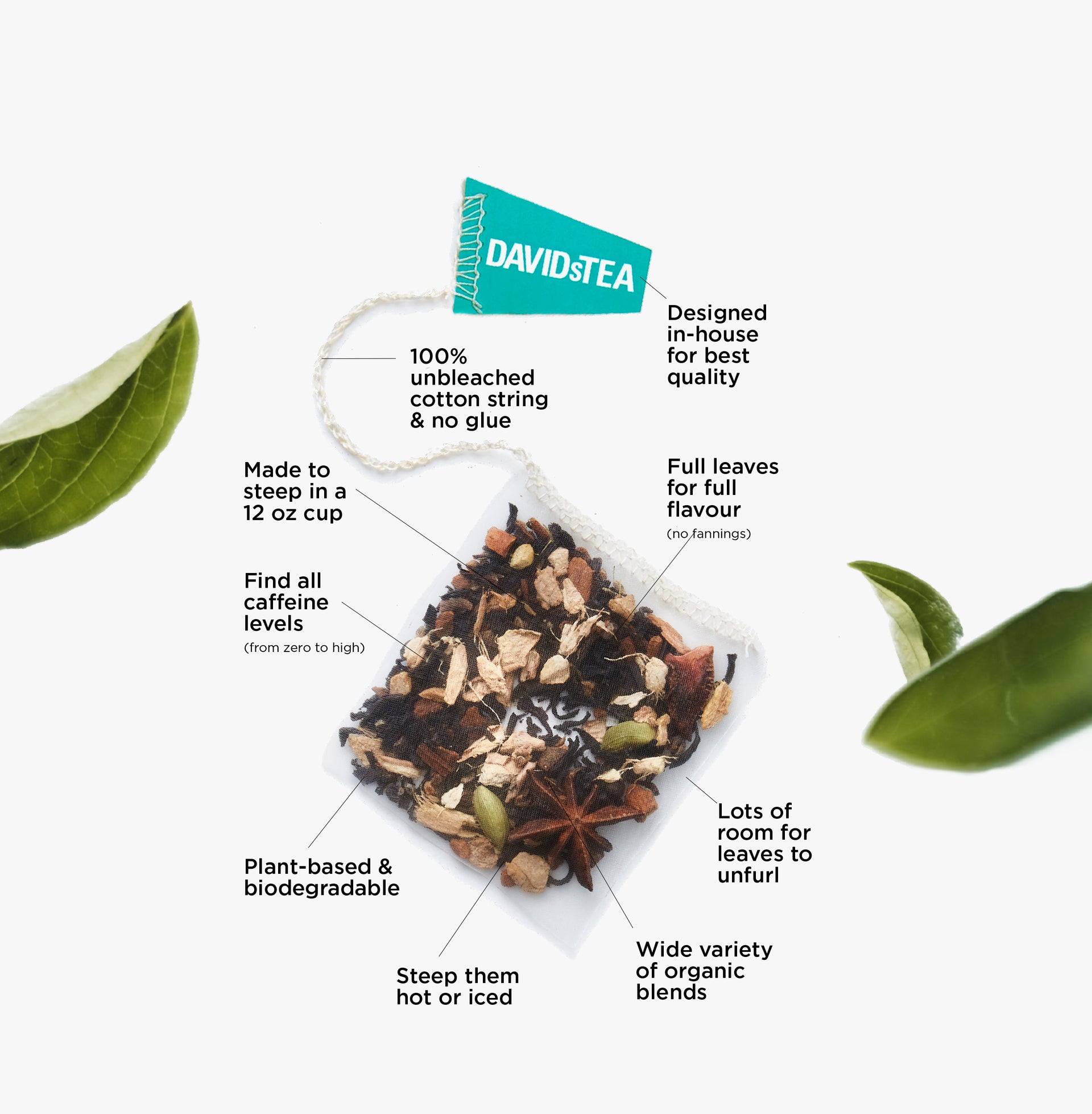 Tea Sachets 101 – DAVIDsTEA
