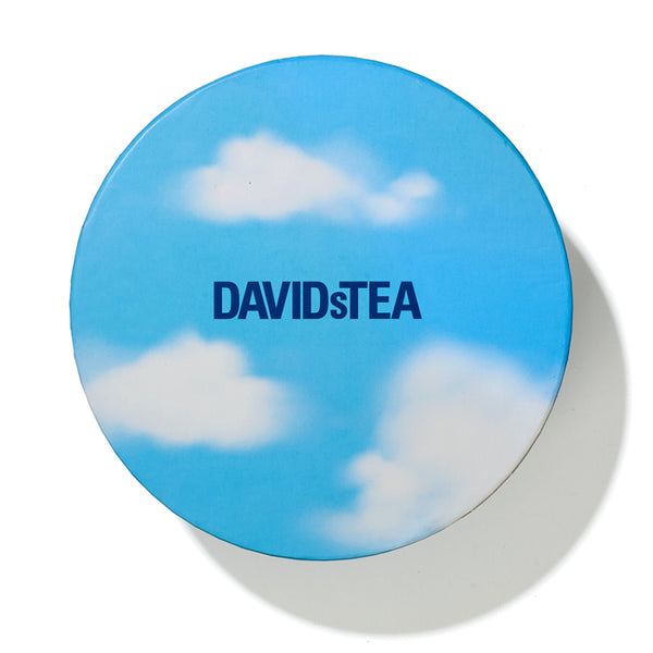 Organic Feel Good Sachet Tea Wheel – DAVIDsTEA