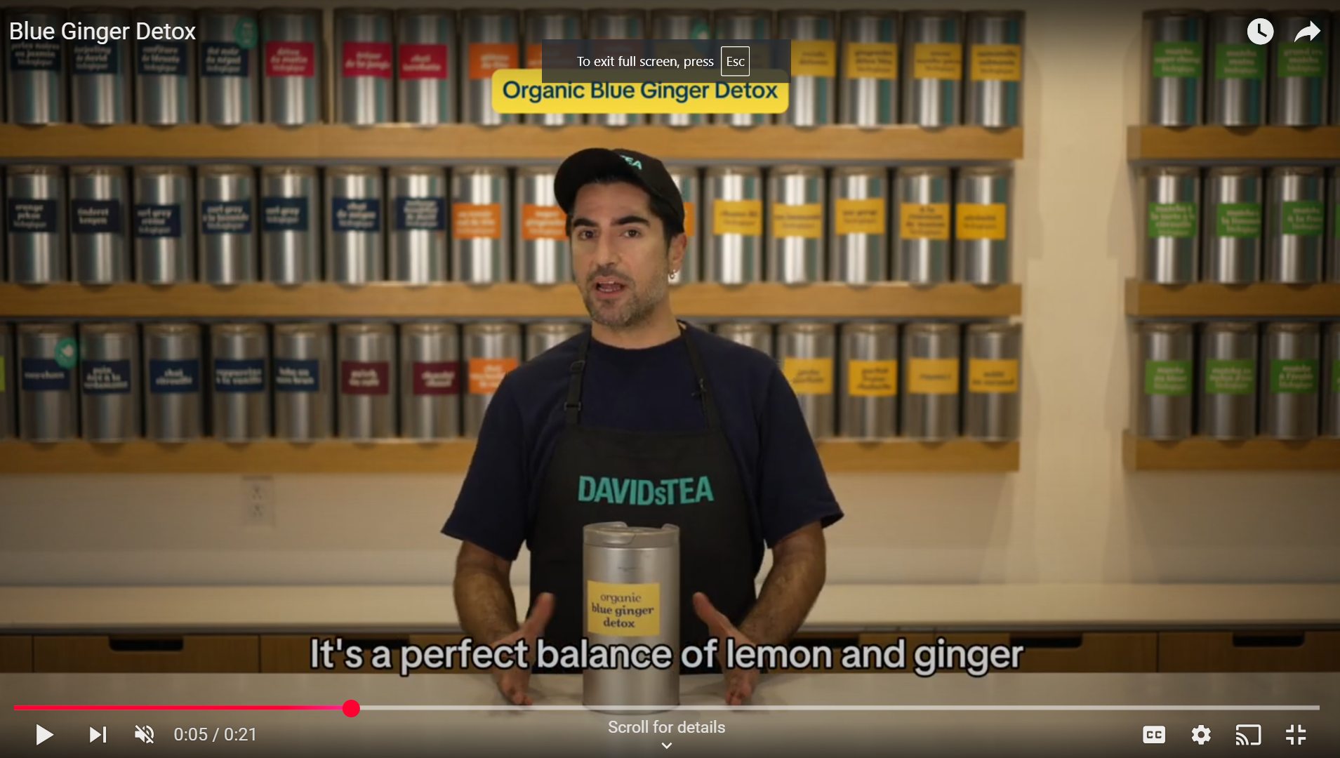 Organic Blue Ginger Detox Tea – DAVIDsTEA