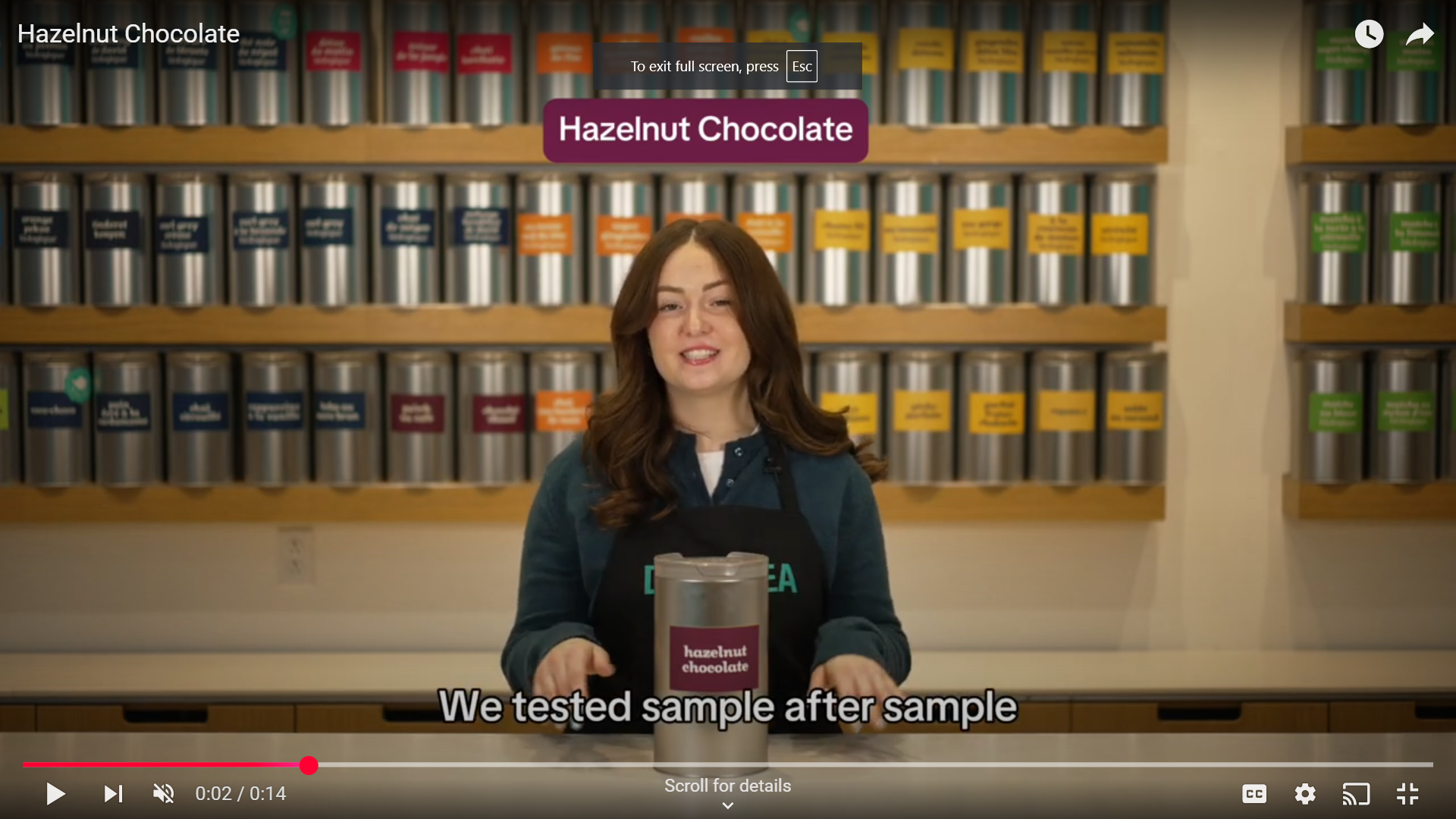 Hazelnut Chocolate Tea Pack of 15 Sachets – DAVIDsTEA