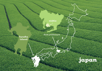 Qu’est-ce que le matcha | bienfaits santé du matcha | DAVIDsTEA CA