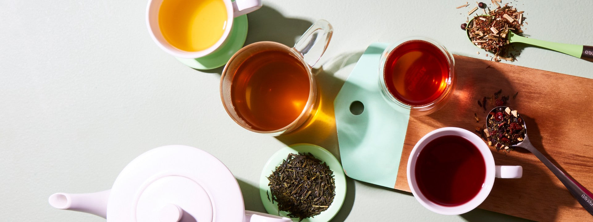 Tea 101 – DAVIDsTEA